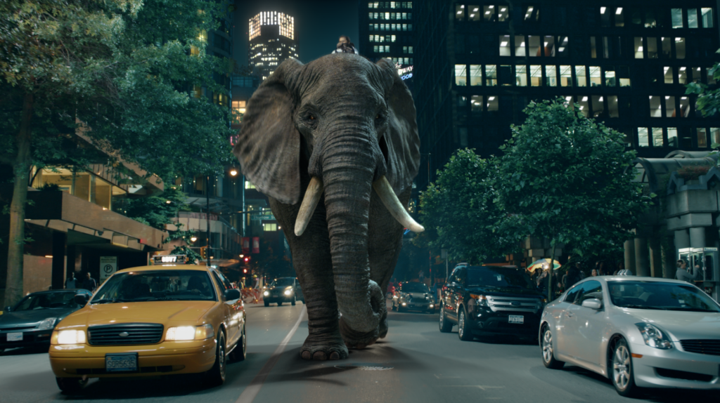 MoneySuperMarket employs epic elephant for new ad campaign - Prolific North