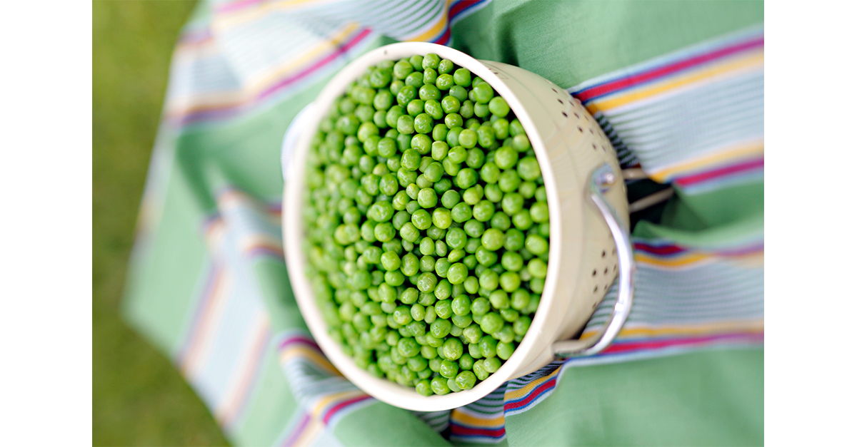 Yes Peas! as Hatch wins 6-way pea pitch - Prolific North