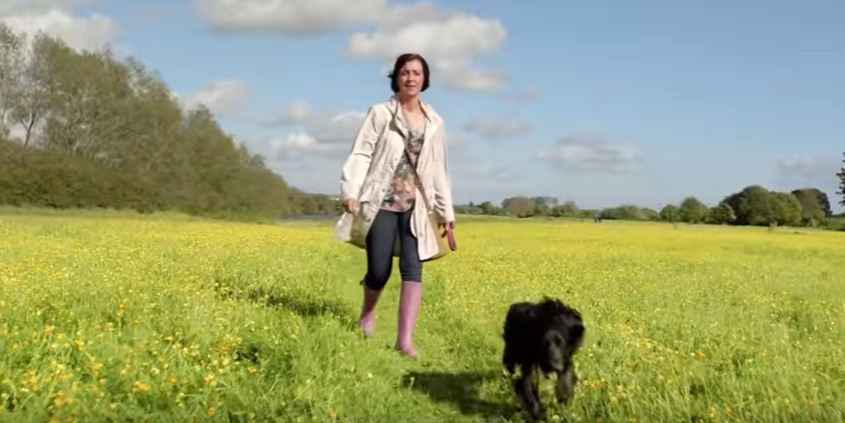 Cheshire agency launches new ITV ad for Vets4Pets - Prolific North