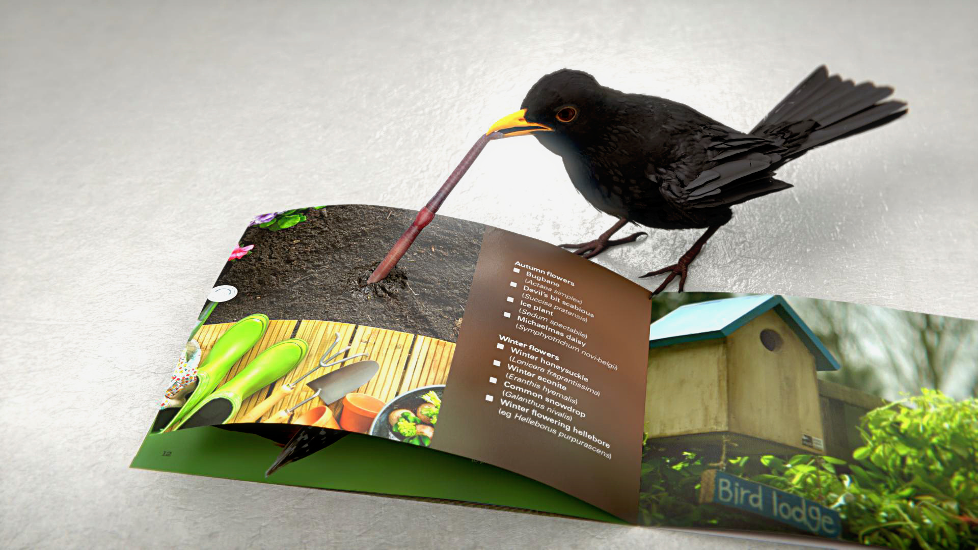 Flipbook Studios creates a first for RSPB with CGI ad - Prolific North