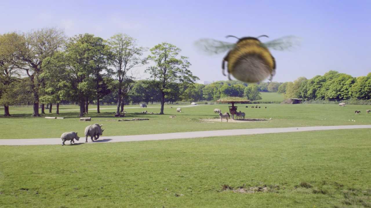 IF Agency hoping to create a buzz with Knowsley Safari advert ...