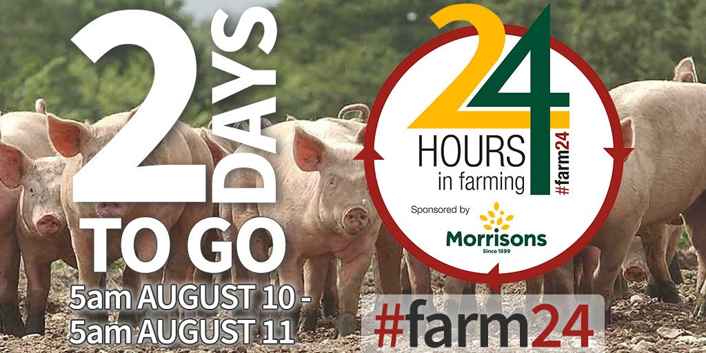 Morrisons announces ban on “fake farm” brands - Prolific North