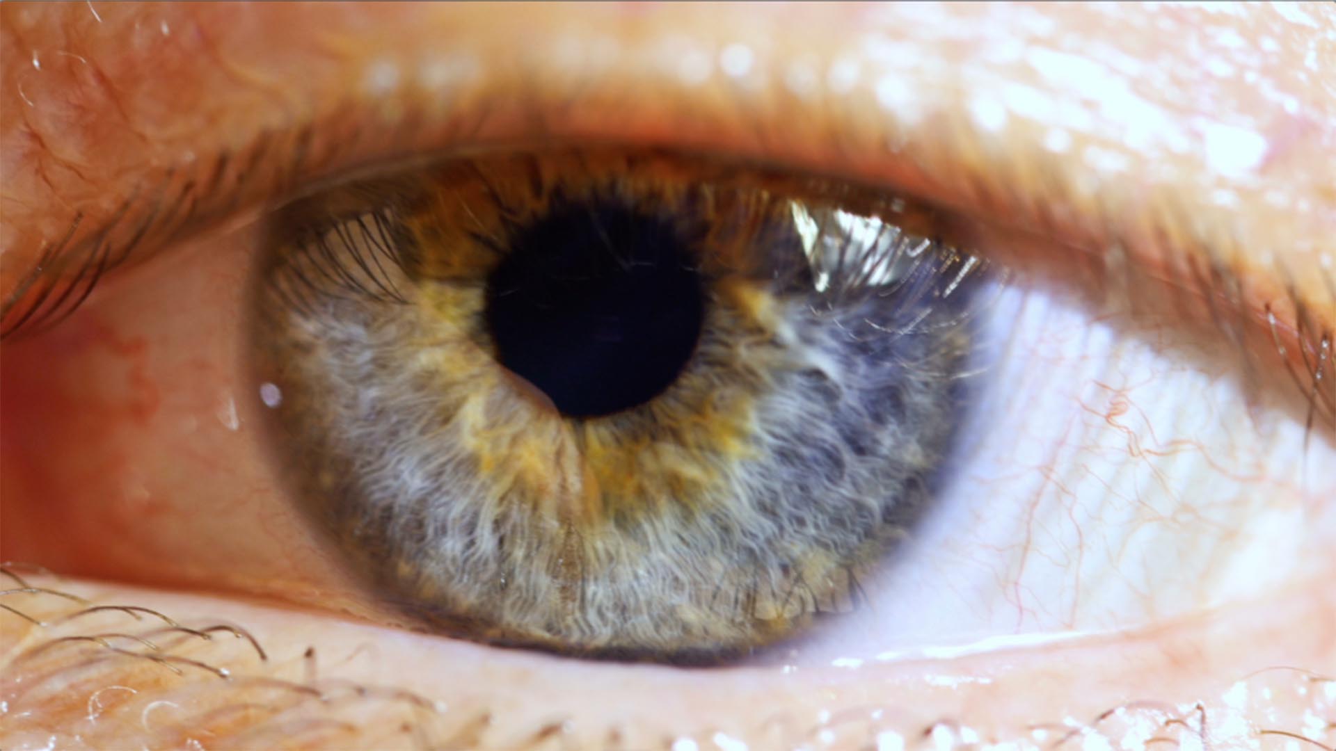 Using Biometrics to Understand Human Behaviour - Prolific North