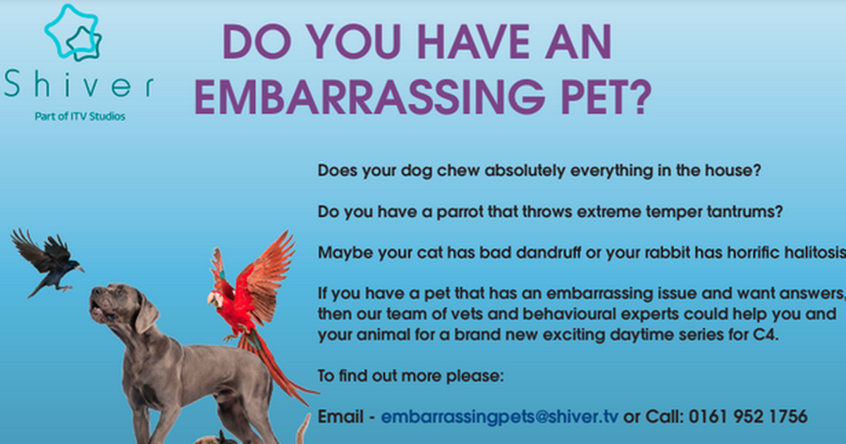 Shiver North wins Embarrassing Pets commission from Channel 4 ...