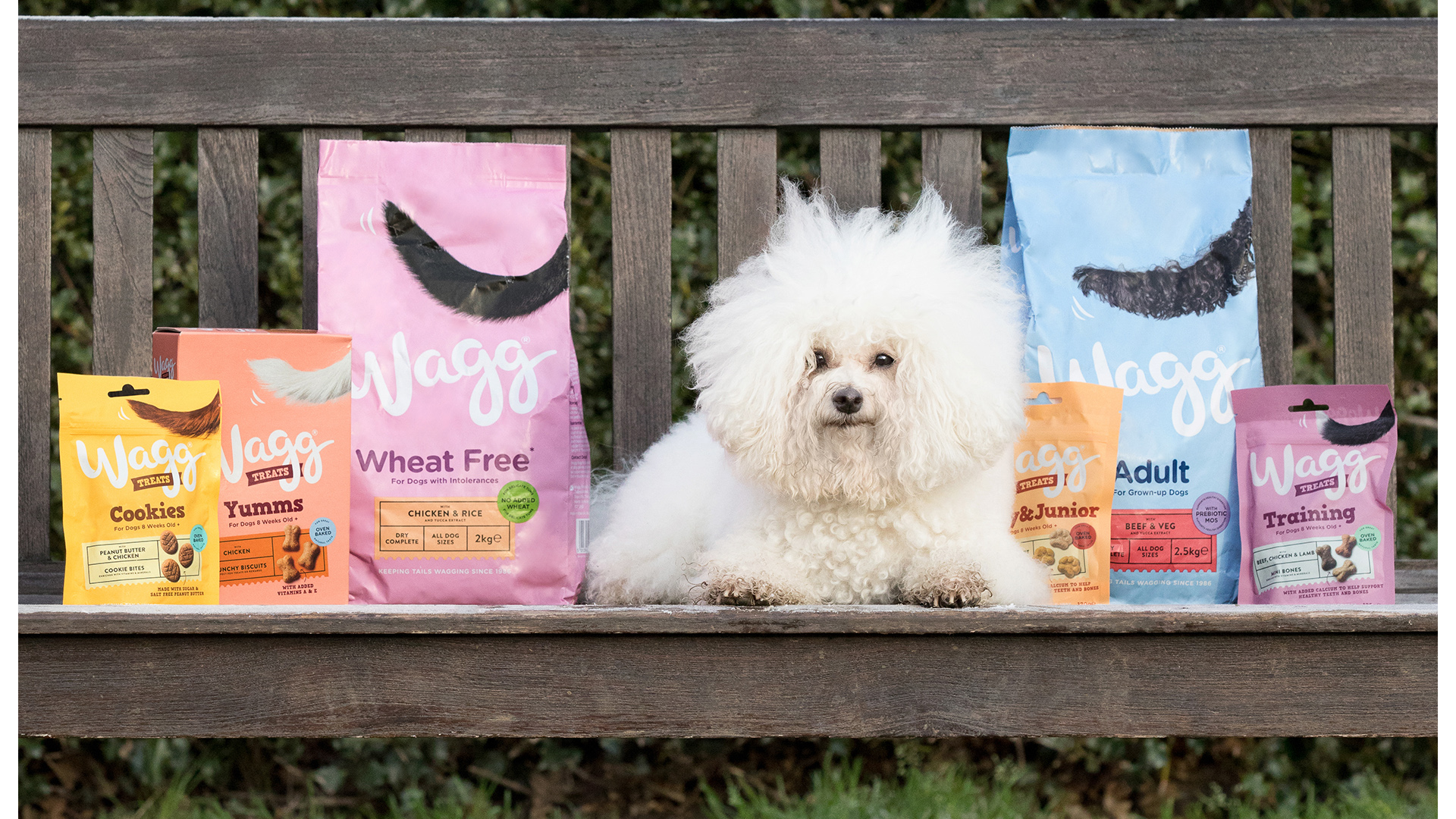 A Dog called Quinoa leads Finn campaign for Wagg - Prolific North