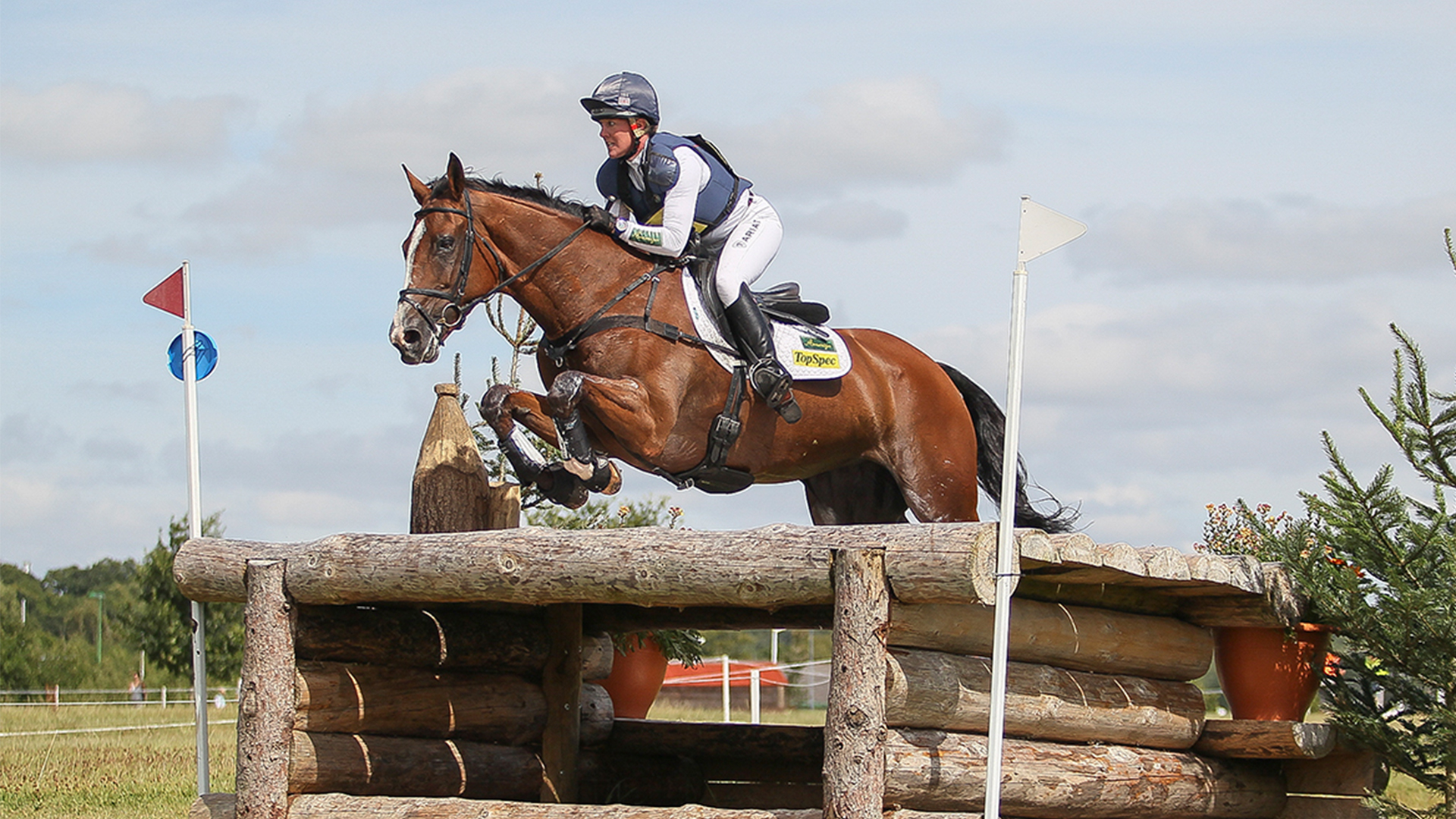 Northern Hive gets equestrian brief - Prolific North