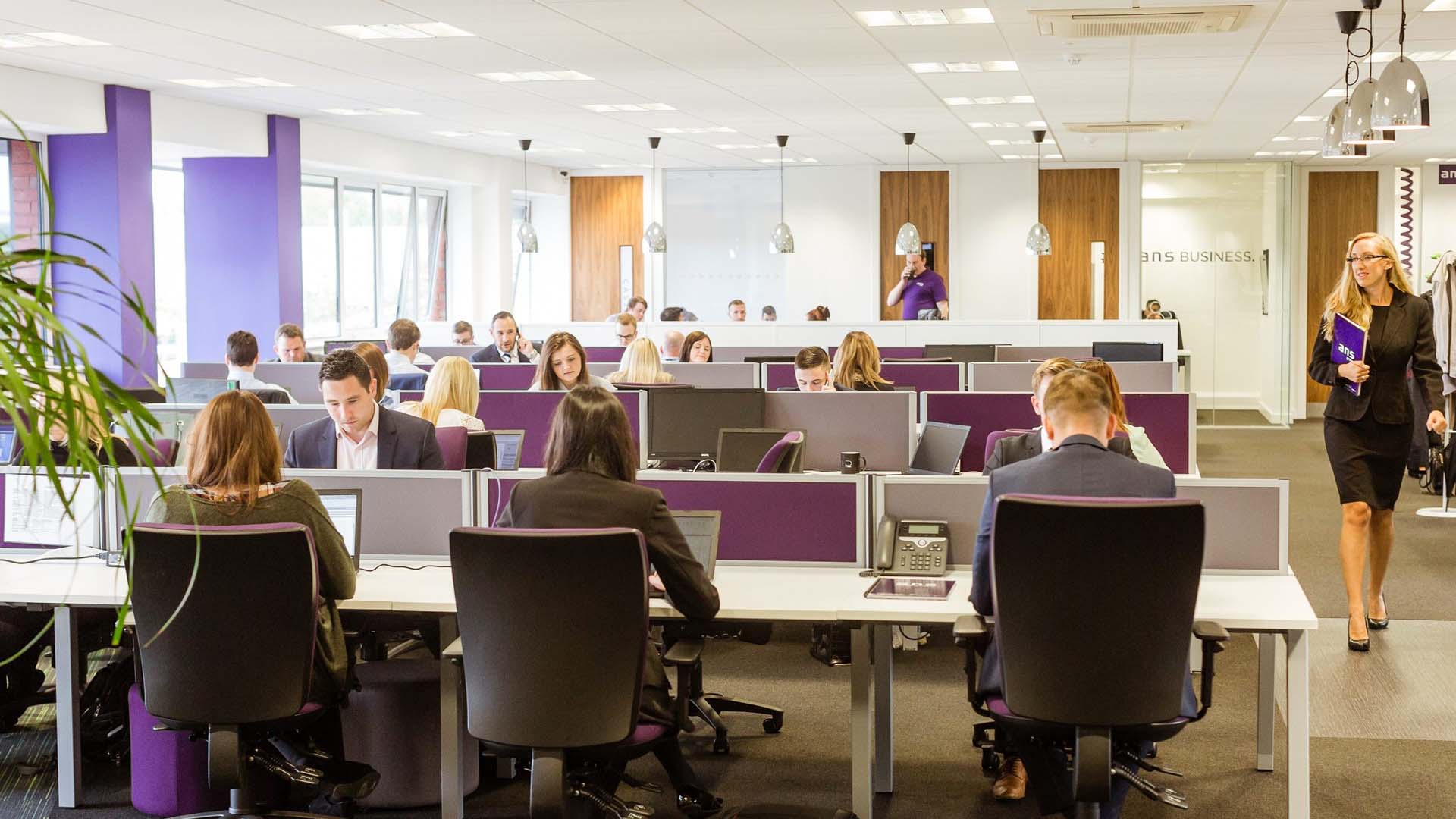 ANS Group makes major acquisition - Prolific North