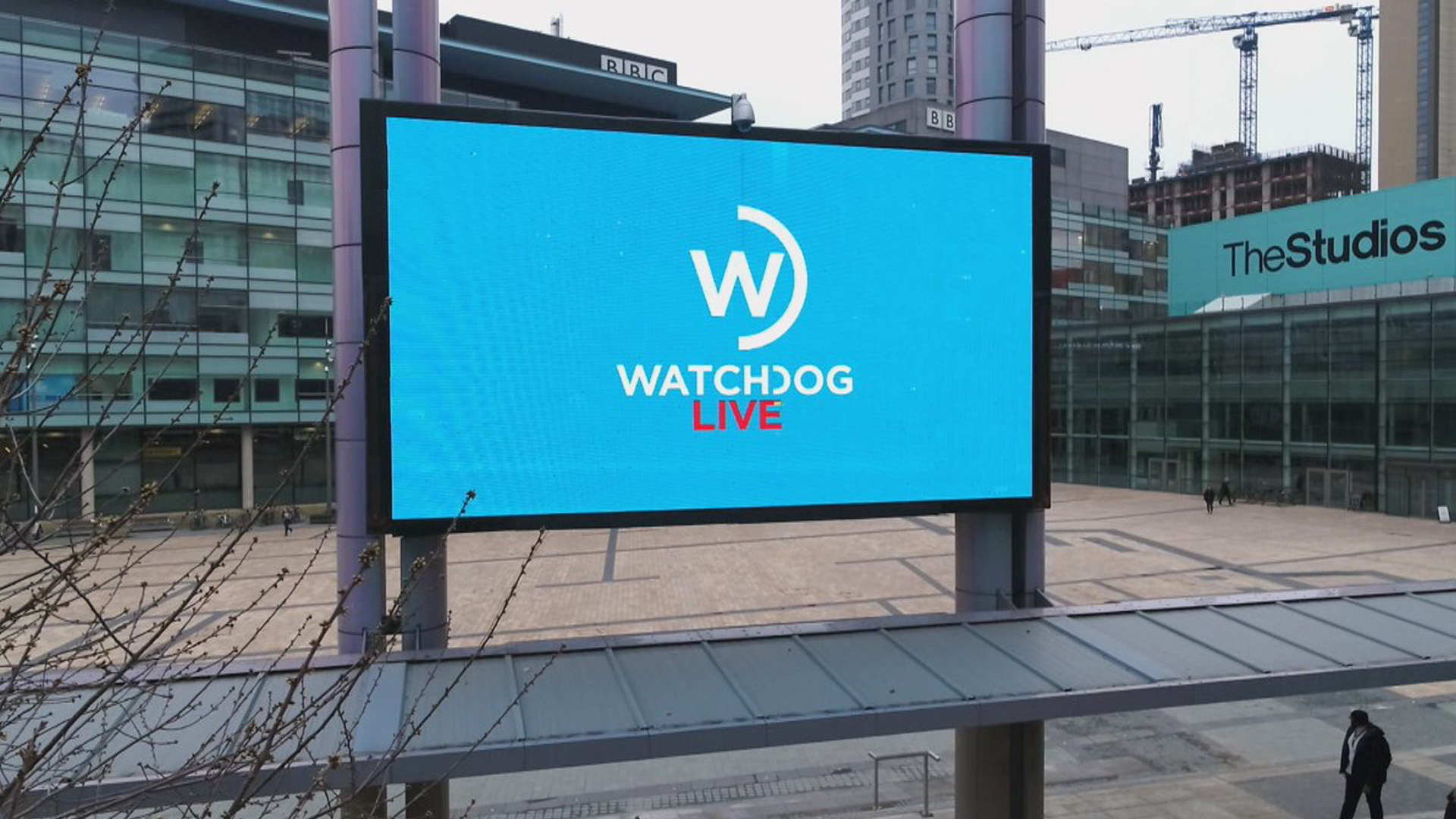 Watchdog series dropped to become The One Show strand - Prolific North