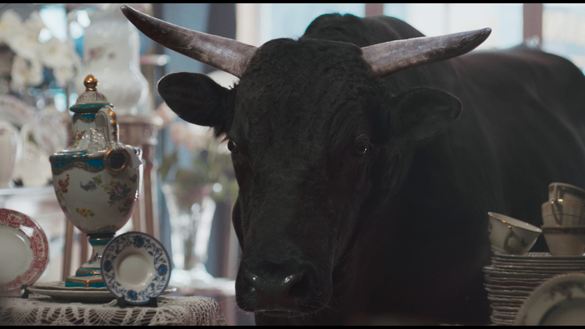 Moneysupermarket talks bull with new campaign - Prolific North