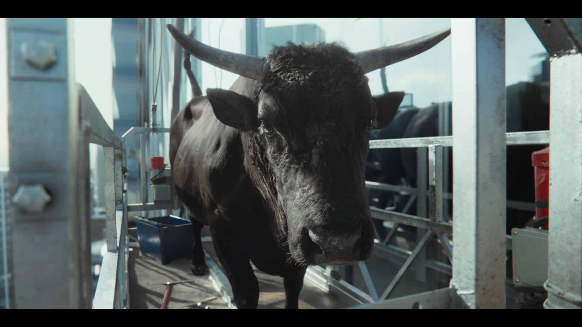 MoneySuperMarket to sponsor Film on 4 - Prolific North