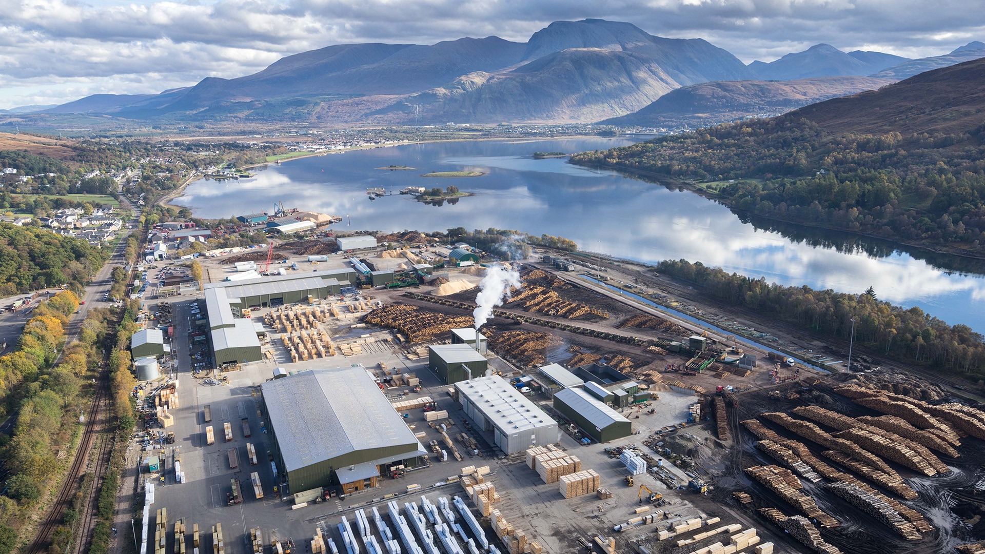 Timber company enlists brand support to meet global demand - Prolific North