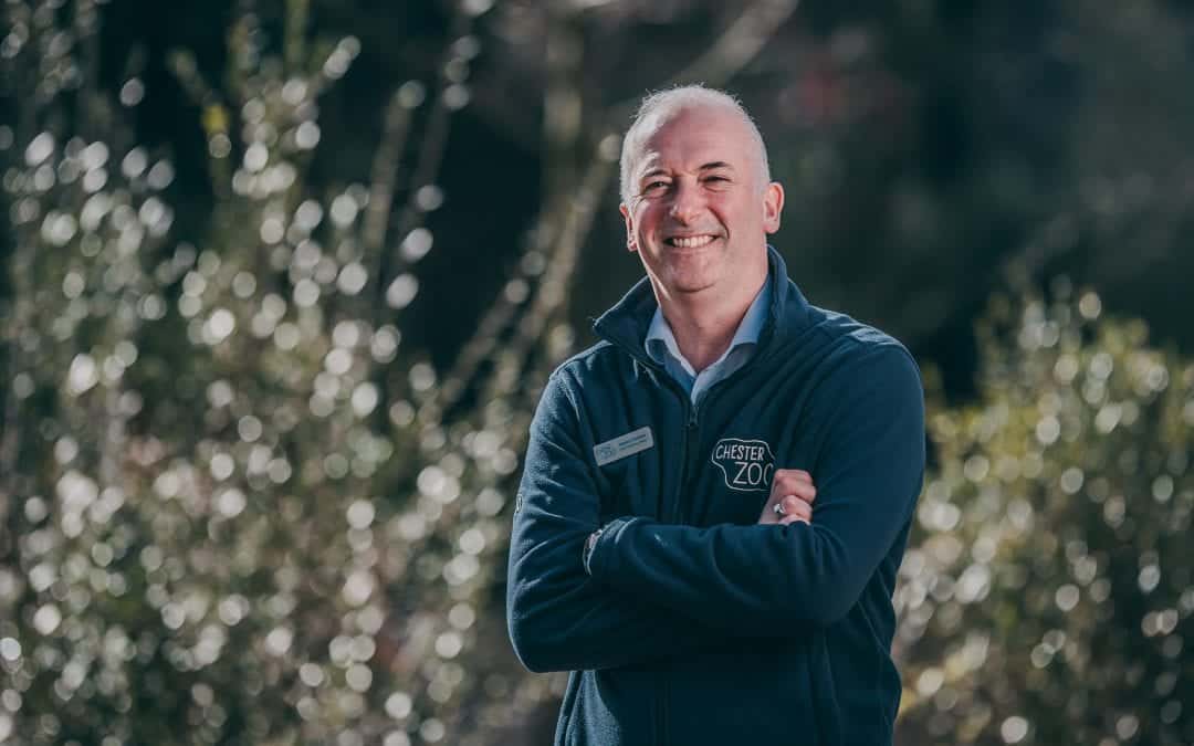 CEO of Chester Zoo among four board appointments at Marketing Cheshire ...