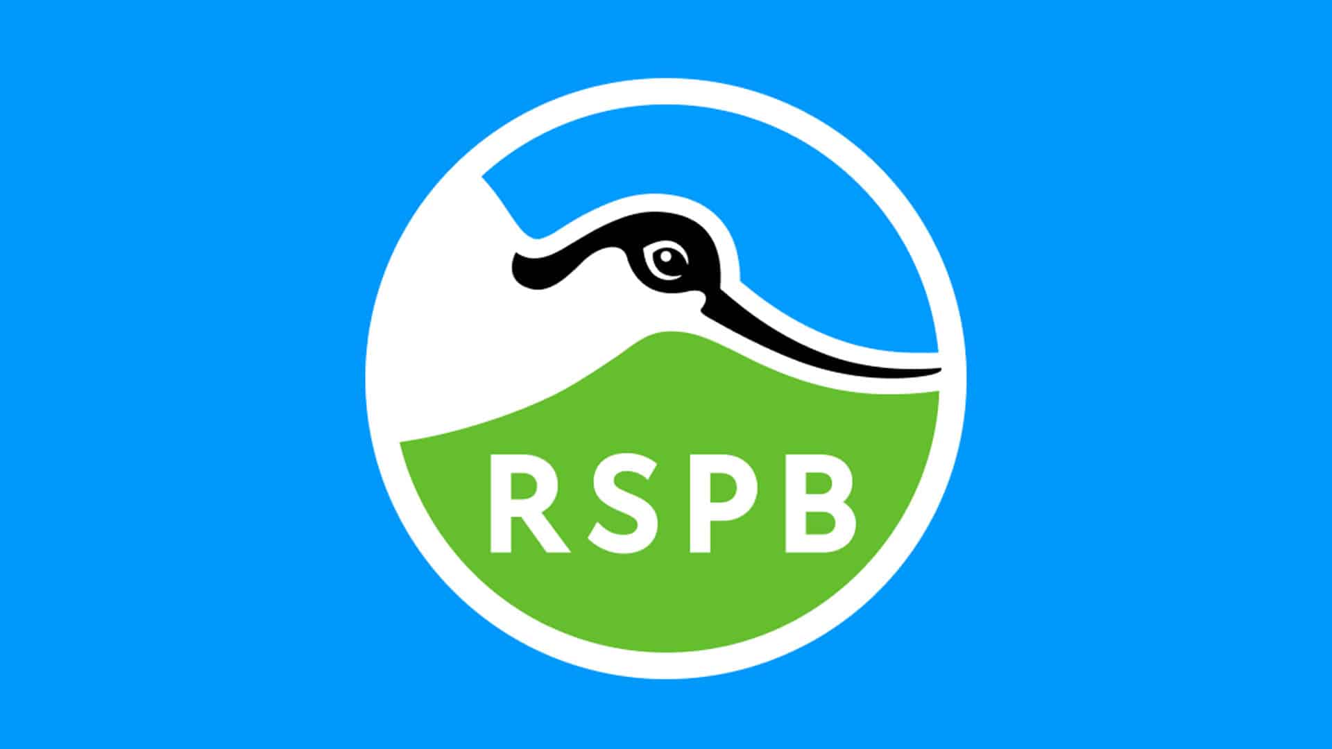 RSPB win for North West agency - Prolific North