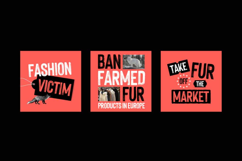 Blush celebrates successful year-long anti-fur campaign - Prolific North