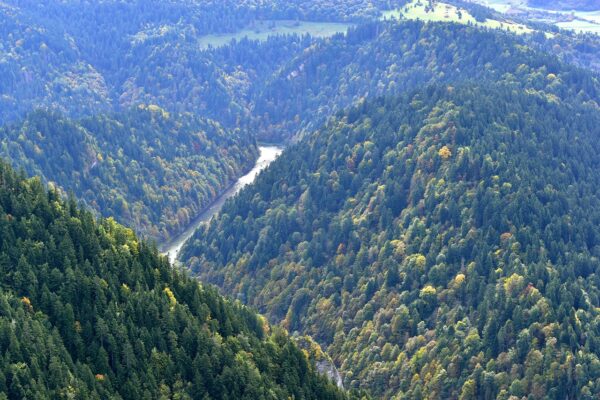 Naimuri goes undercover with 42 Engineer Regiment (GEO) - Prolific North