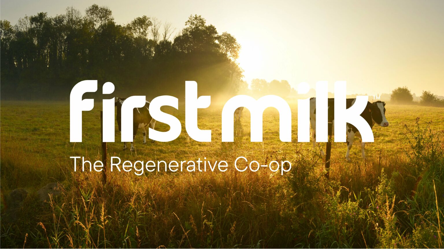 Kiss Branding works with B Corp farmers co-op First Milk - Prolific North