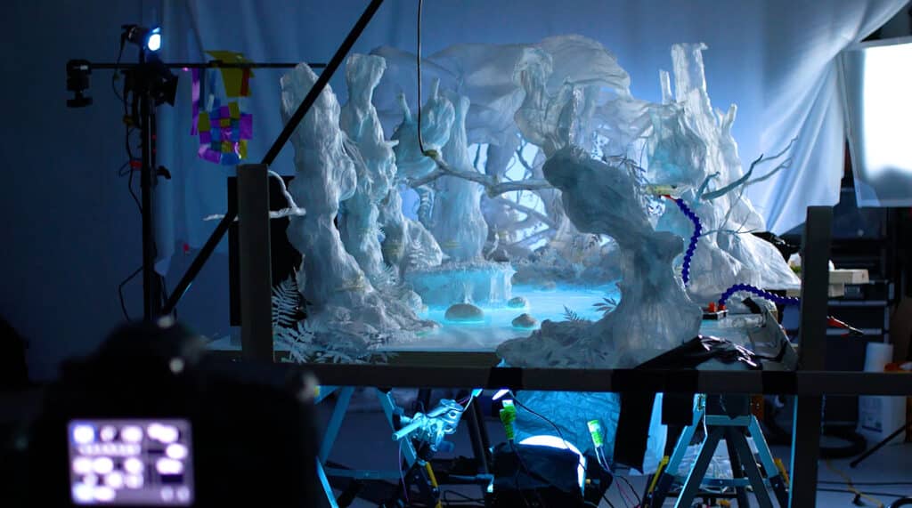 Behind the scenes on Meanwhile and Chester Zoo's stunning Winter ...