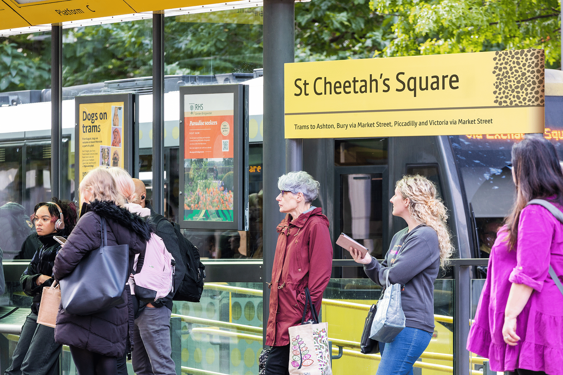 Chester Zoo rebrands one of Manchester's busiest Metrolink stations as St Cheetah's Square ...