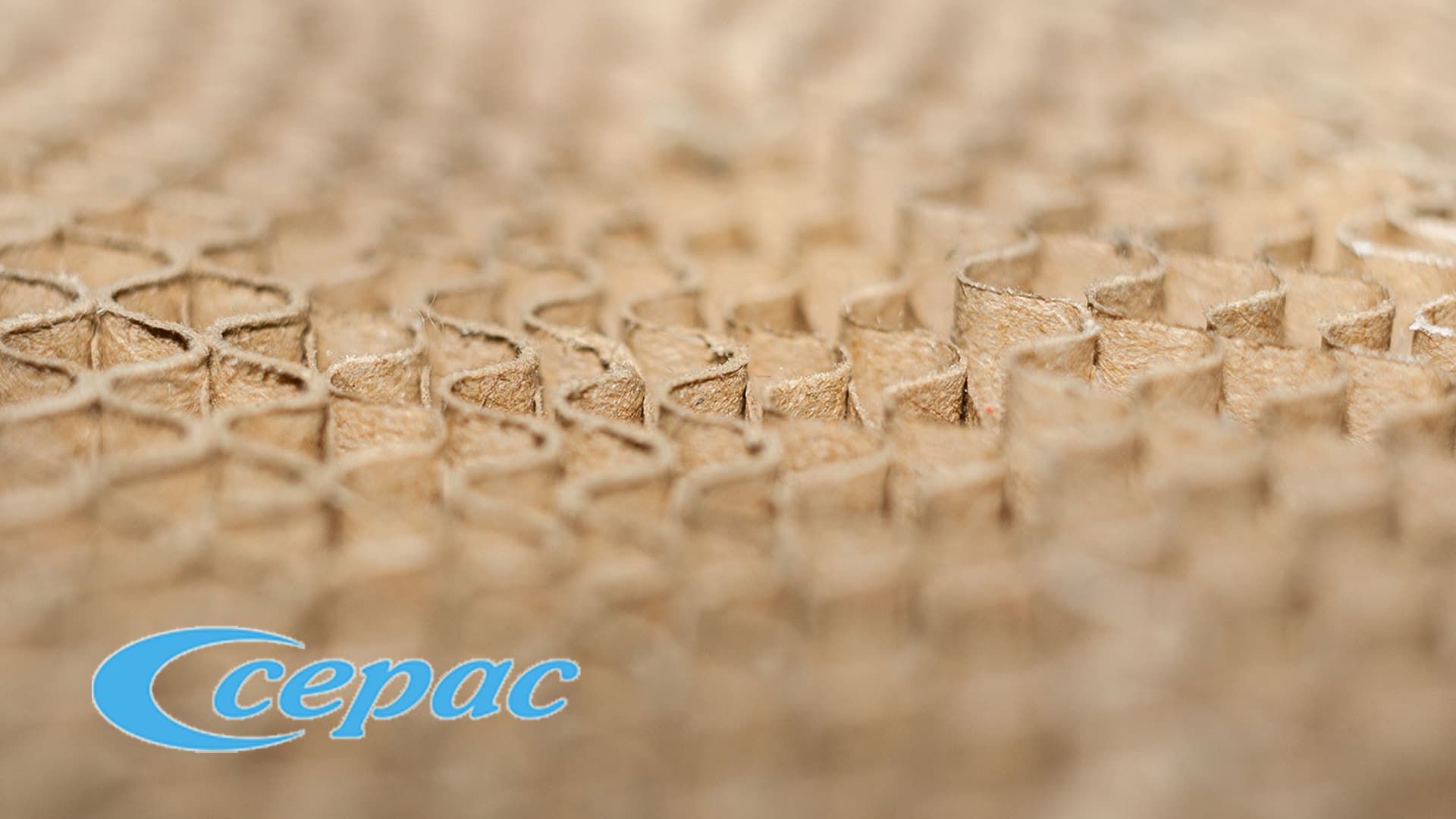 War of words as Darlington print workers to go on strike - Prolific North