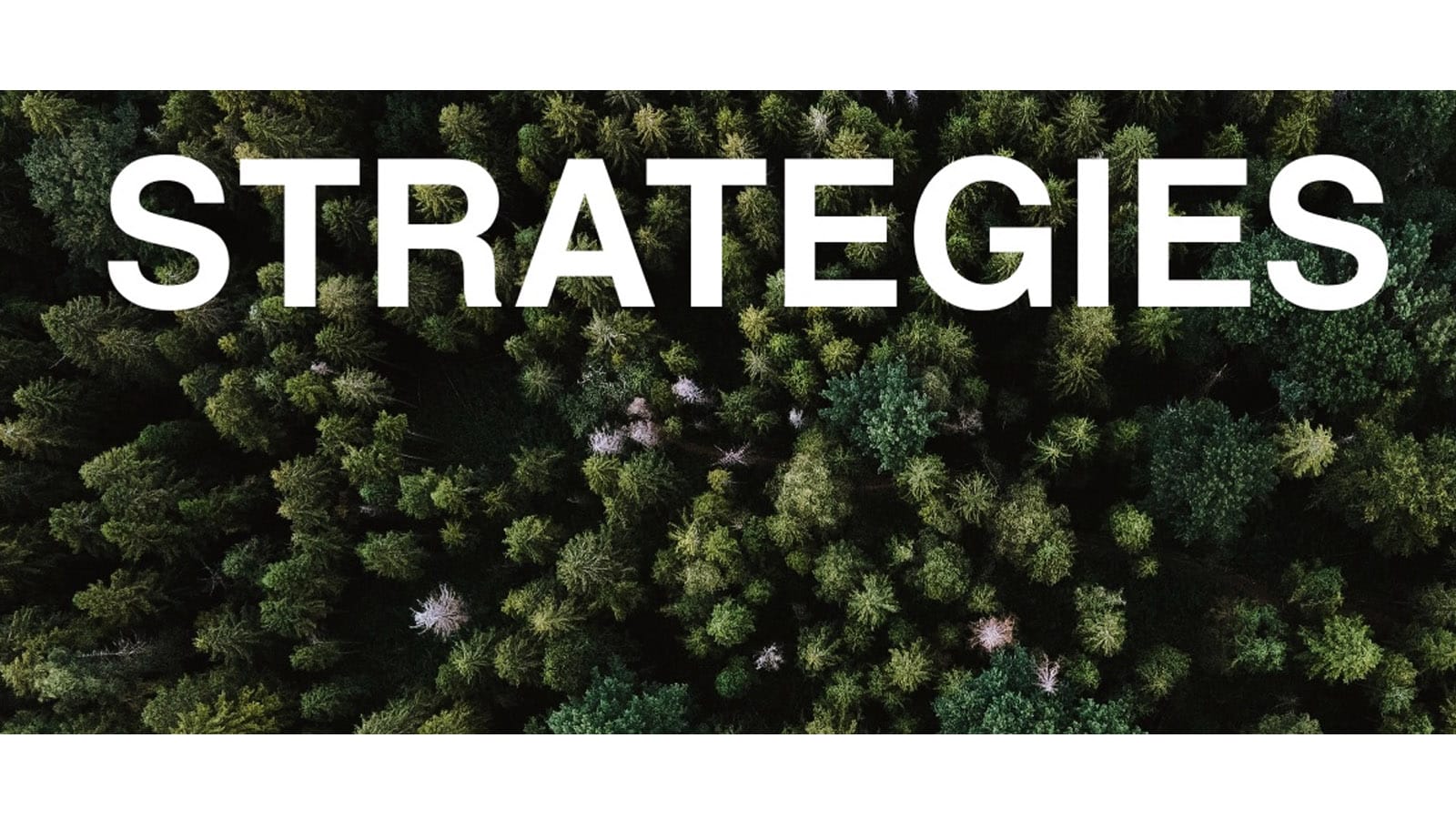 Manchester Met wins £1million to make gaming greener - Prolific North