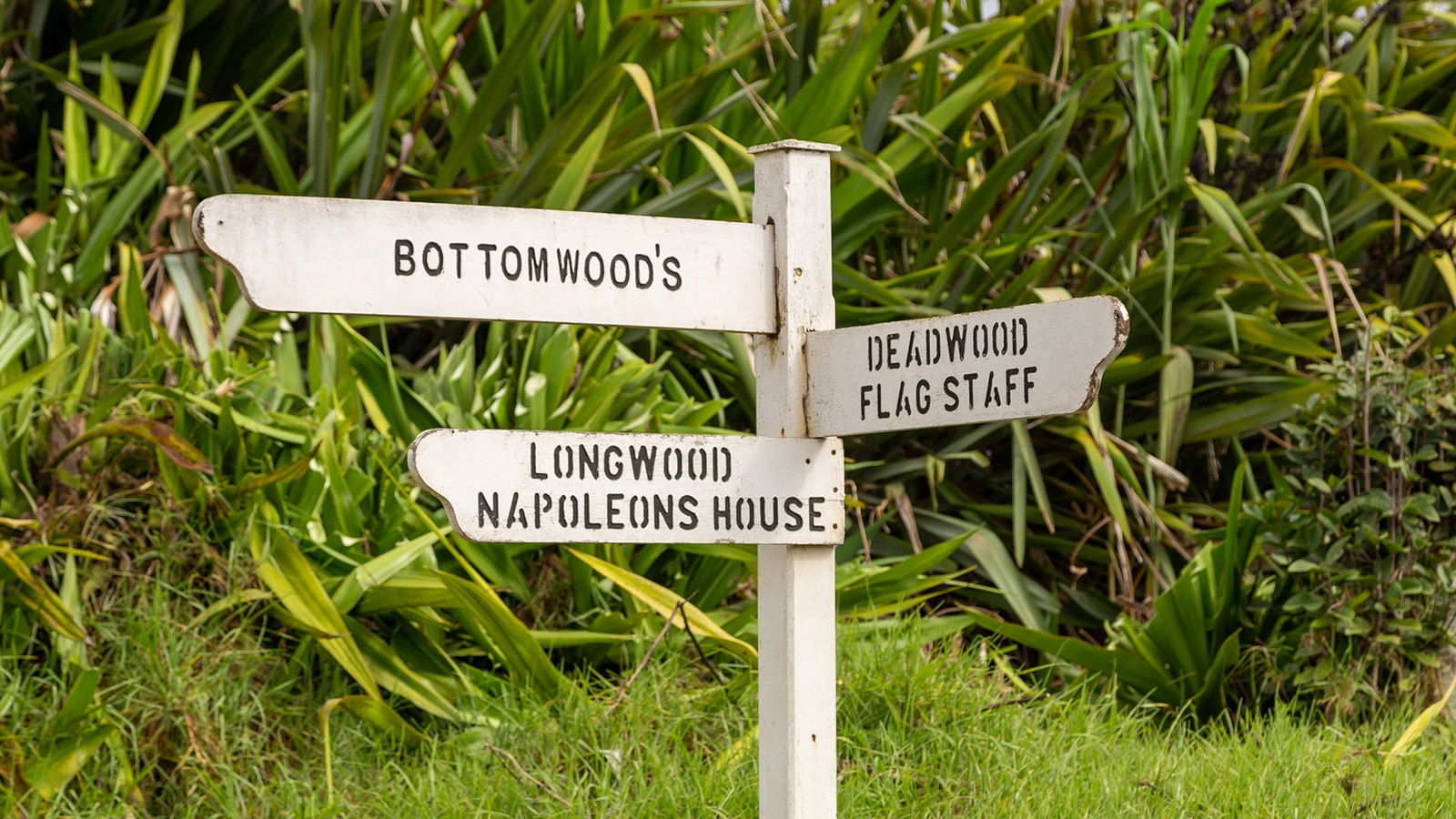 MAG launches Napoleon movie-inspired St Helena Tourism campaign ...