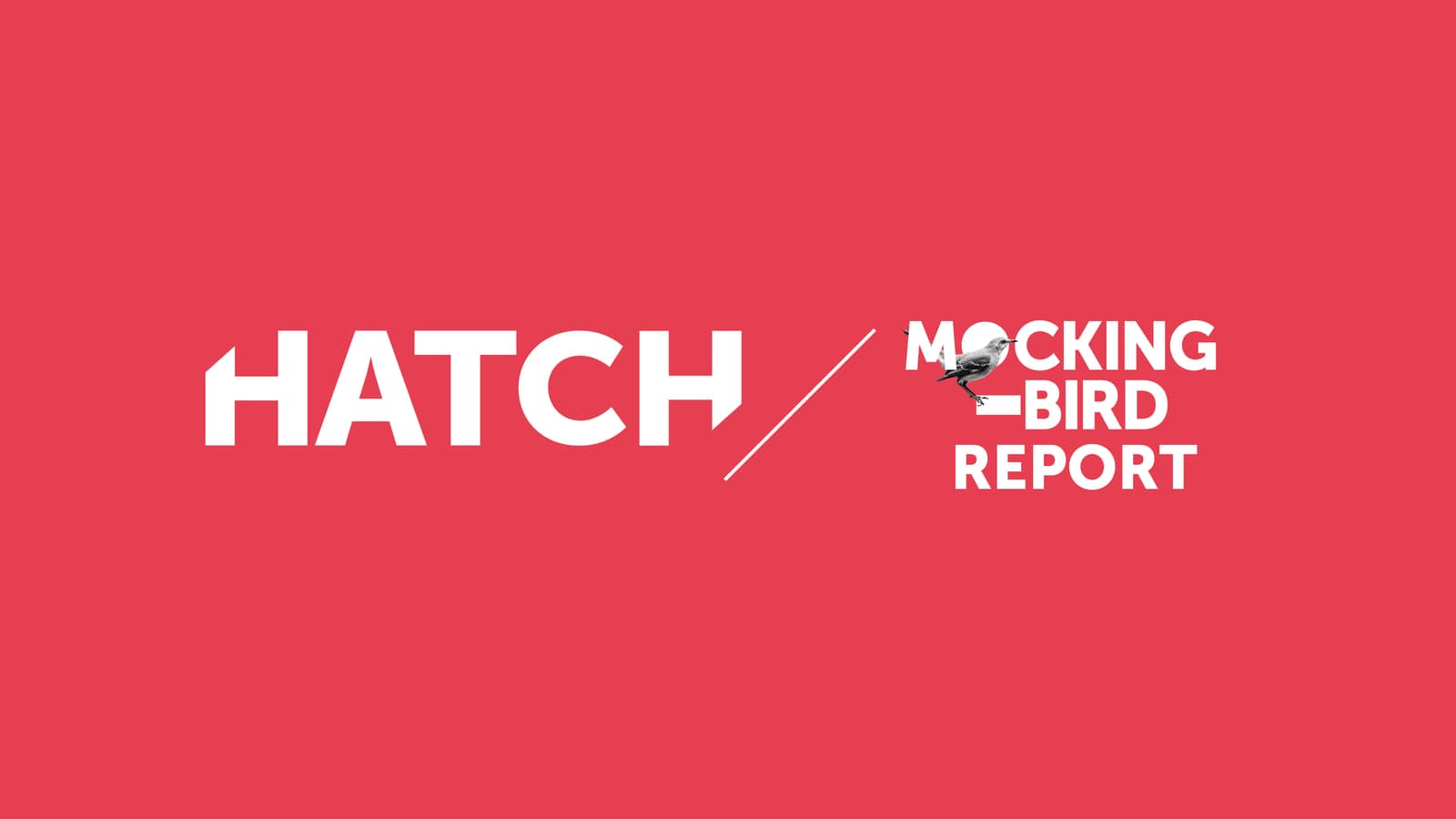 Hatch seeks five brands for free trial of new data-led Mockingbird Reports - Prolific North