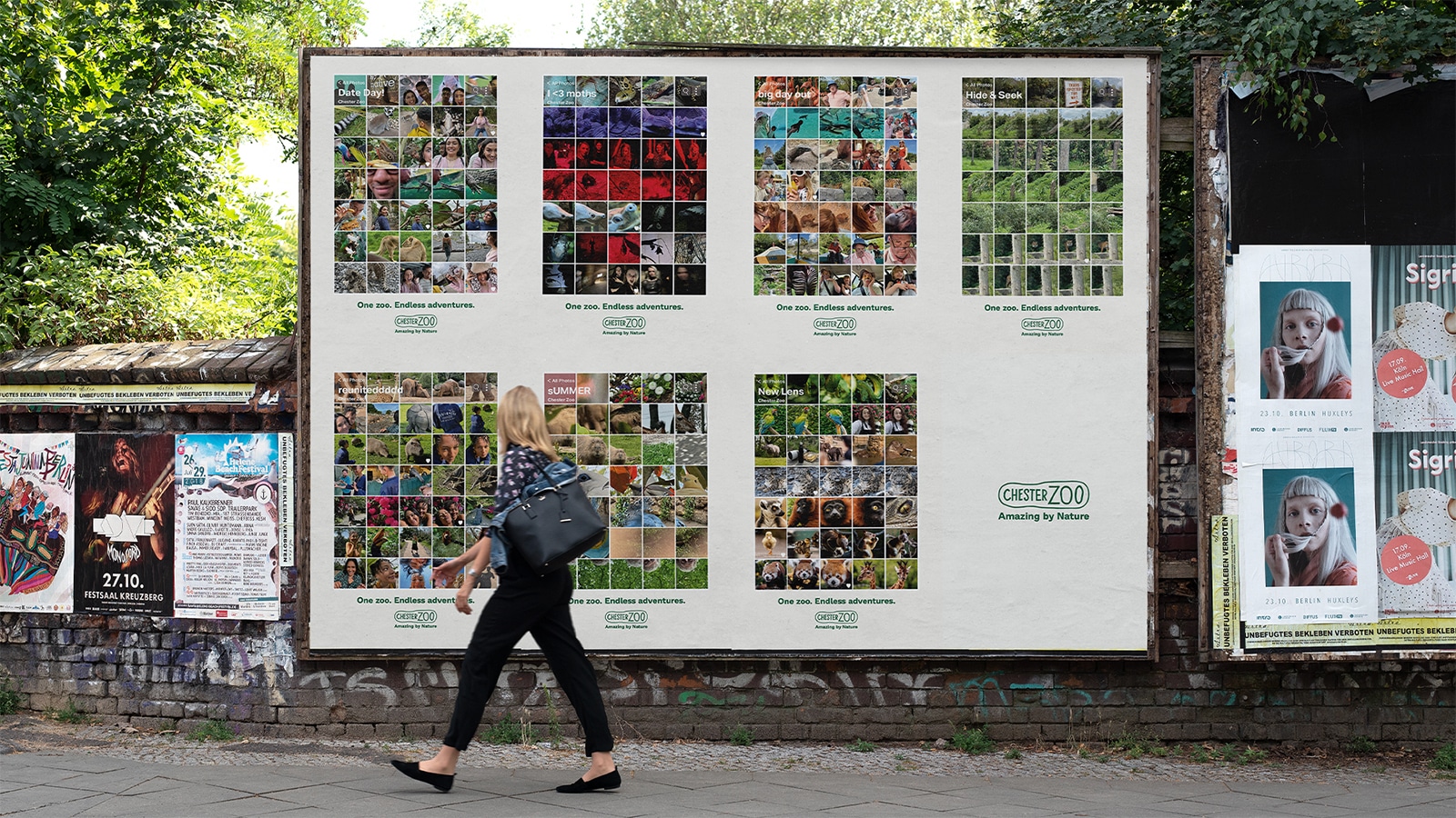 Chester Zoo promises Endless Adventures - Prolific North