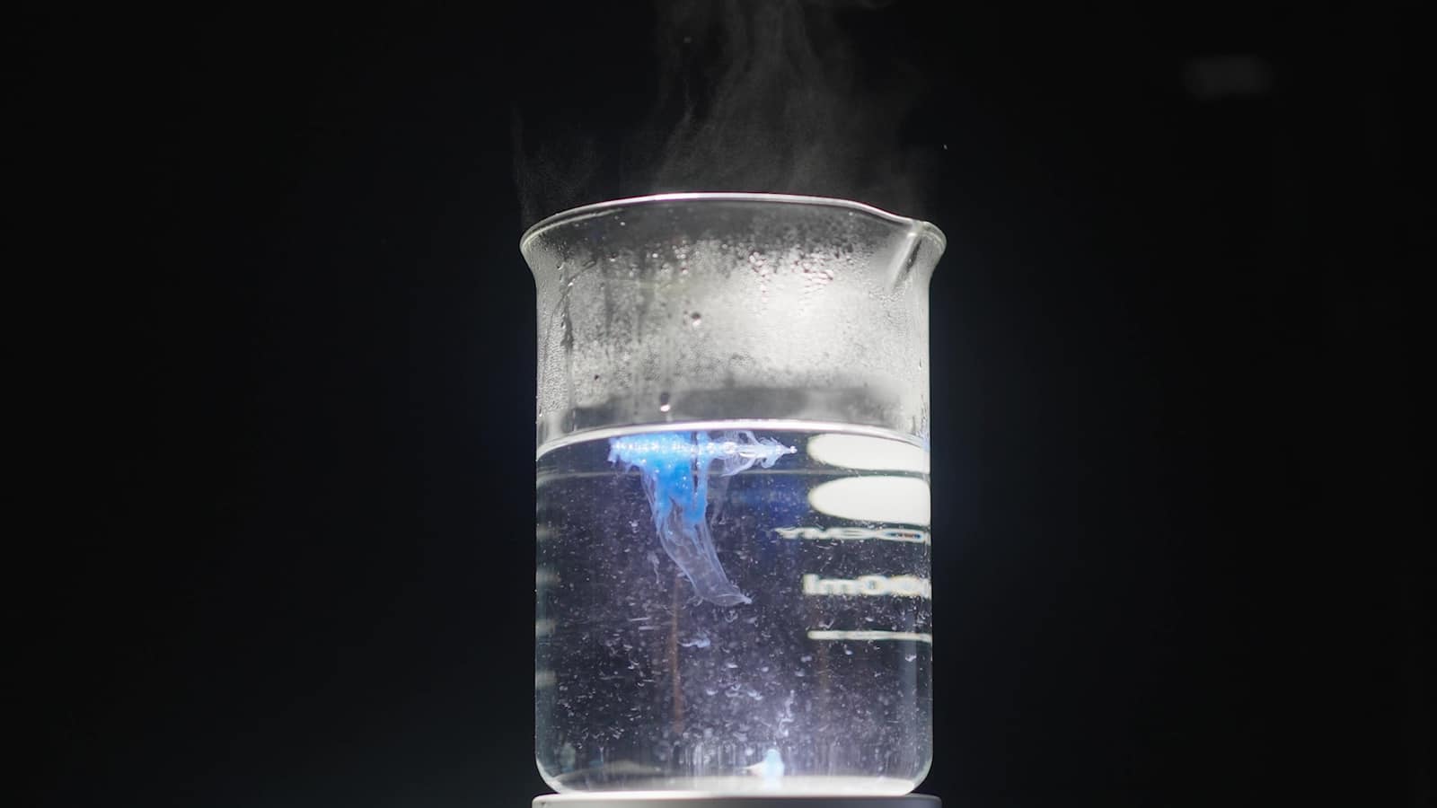 N Brown moves towards fully biodegradable plastic packaging - Prolific ...