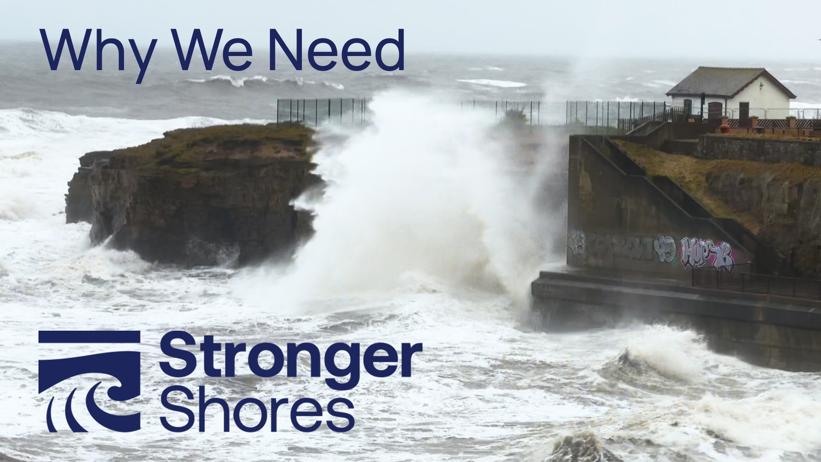Teachers land coastal care online toolkits from South Tyneside's ...