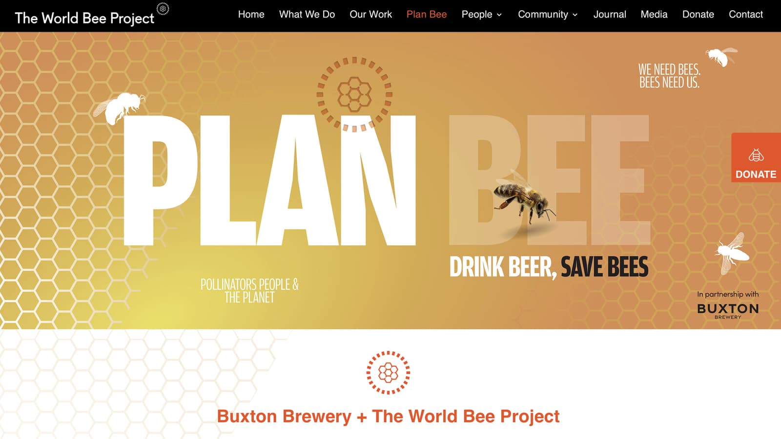 Creative agency celebrates World Bee Day with a pint - Prolific North