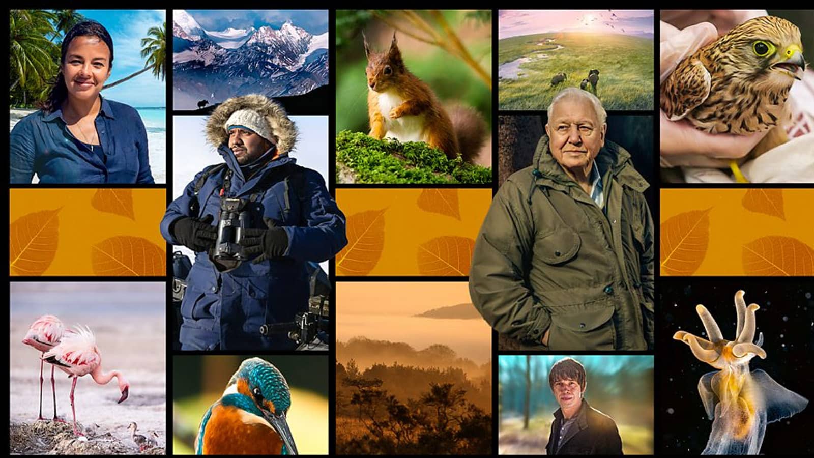 BBC goes Wild About Nature with Morning Live’s first ever outside ...