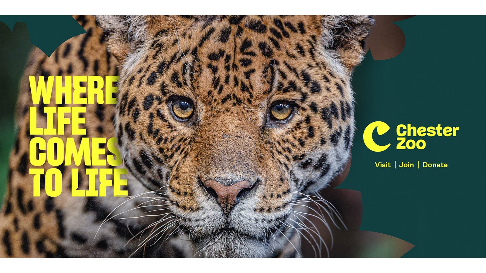 Chester Zoo takes over ITV with Meanwhile and Notorious - Prolific North