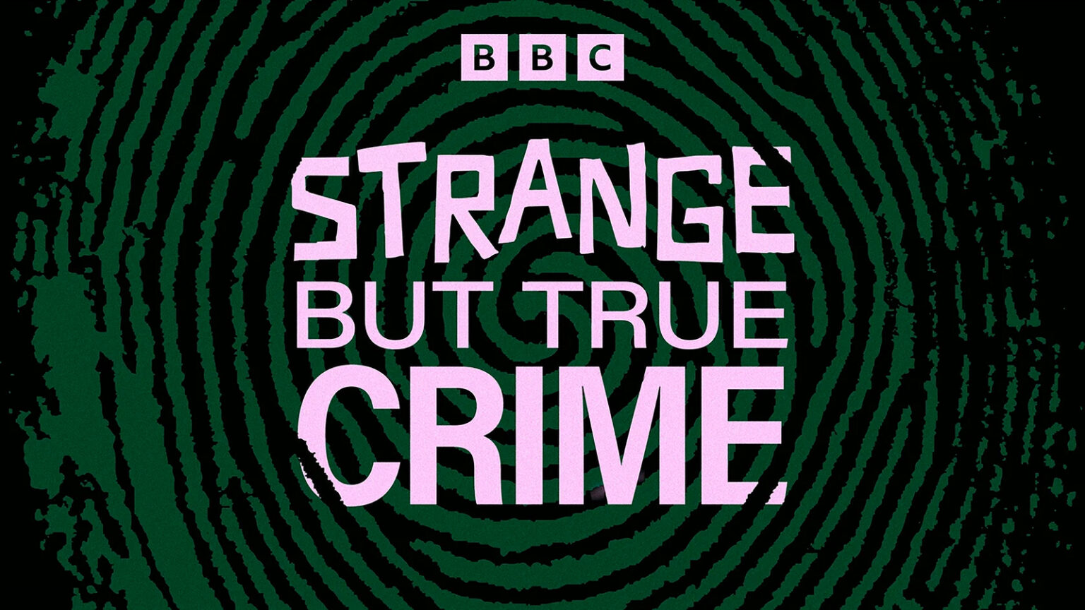 BBC Leeds breakfast host Rima Ahmed is back with more bizarre tales in ...
